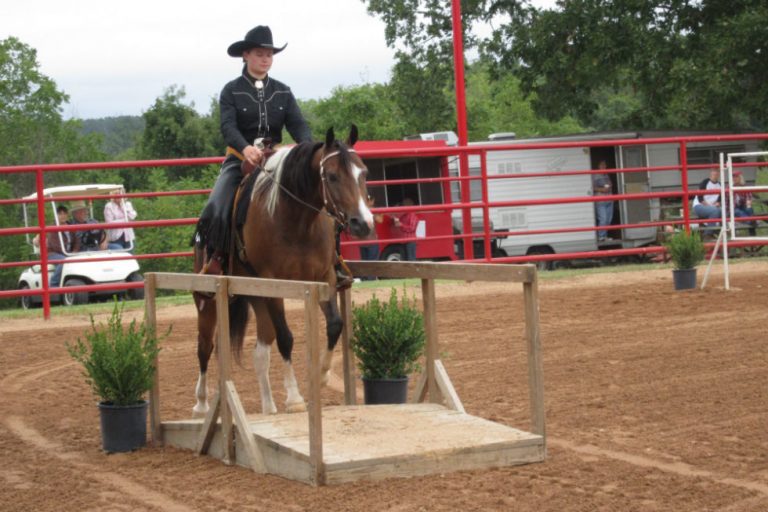 Uses of the Missouri Fox Trotter - EMFTHA e.V.