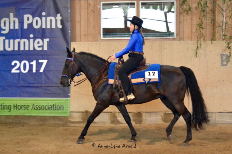 Nicht nur Fox Trot: die rassytypischen Gänge der Missouri Fox Trotter